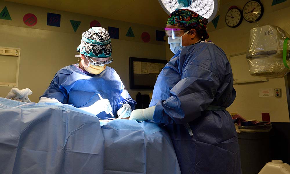 Guided growth surgery - Louisville | Norton Children’s Hospital